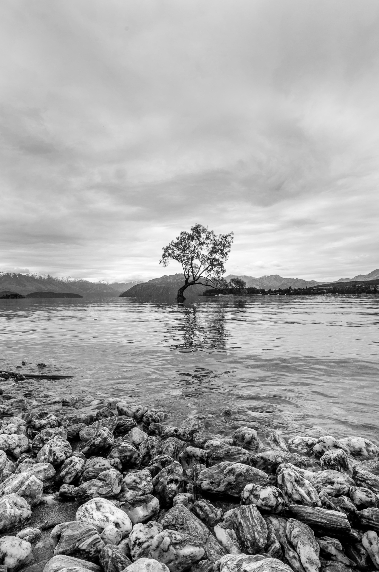 Galería – Daniel Astudillo